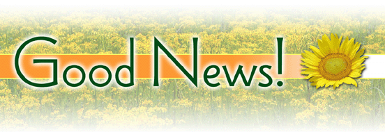 Finished newsletters from PAGES